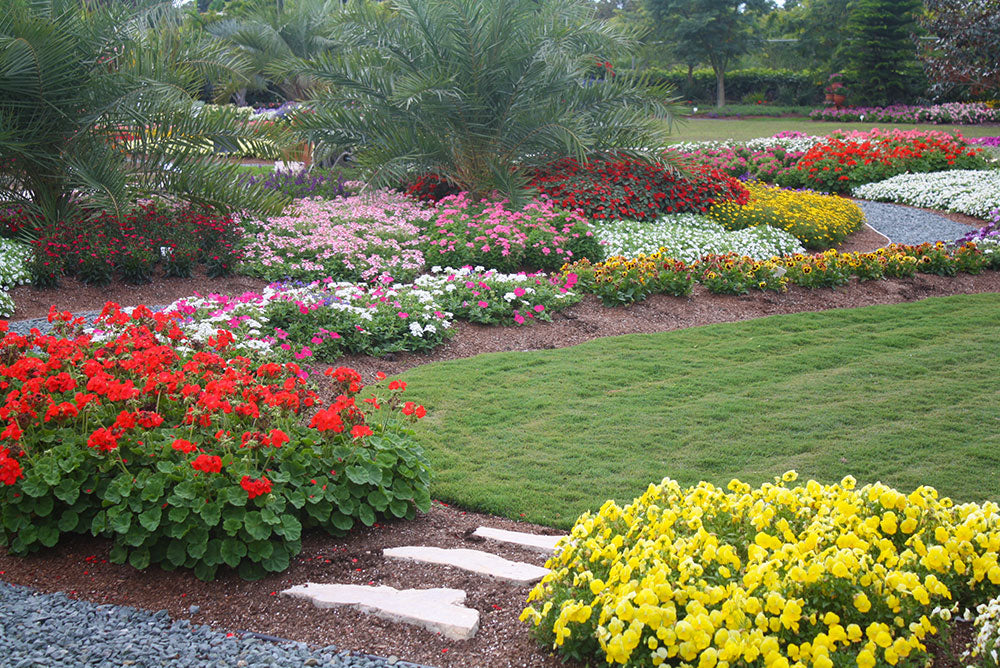 Behind the Scenes at Costa Farms