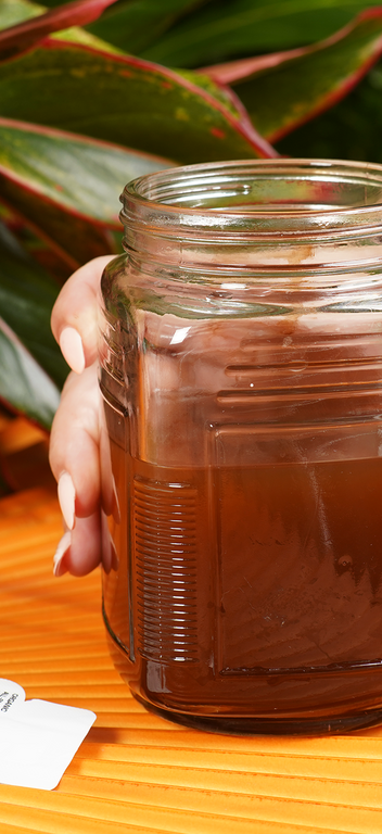 Trending Tropicals®: Behind the Scenes – Costa Farms